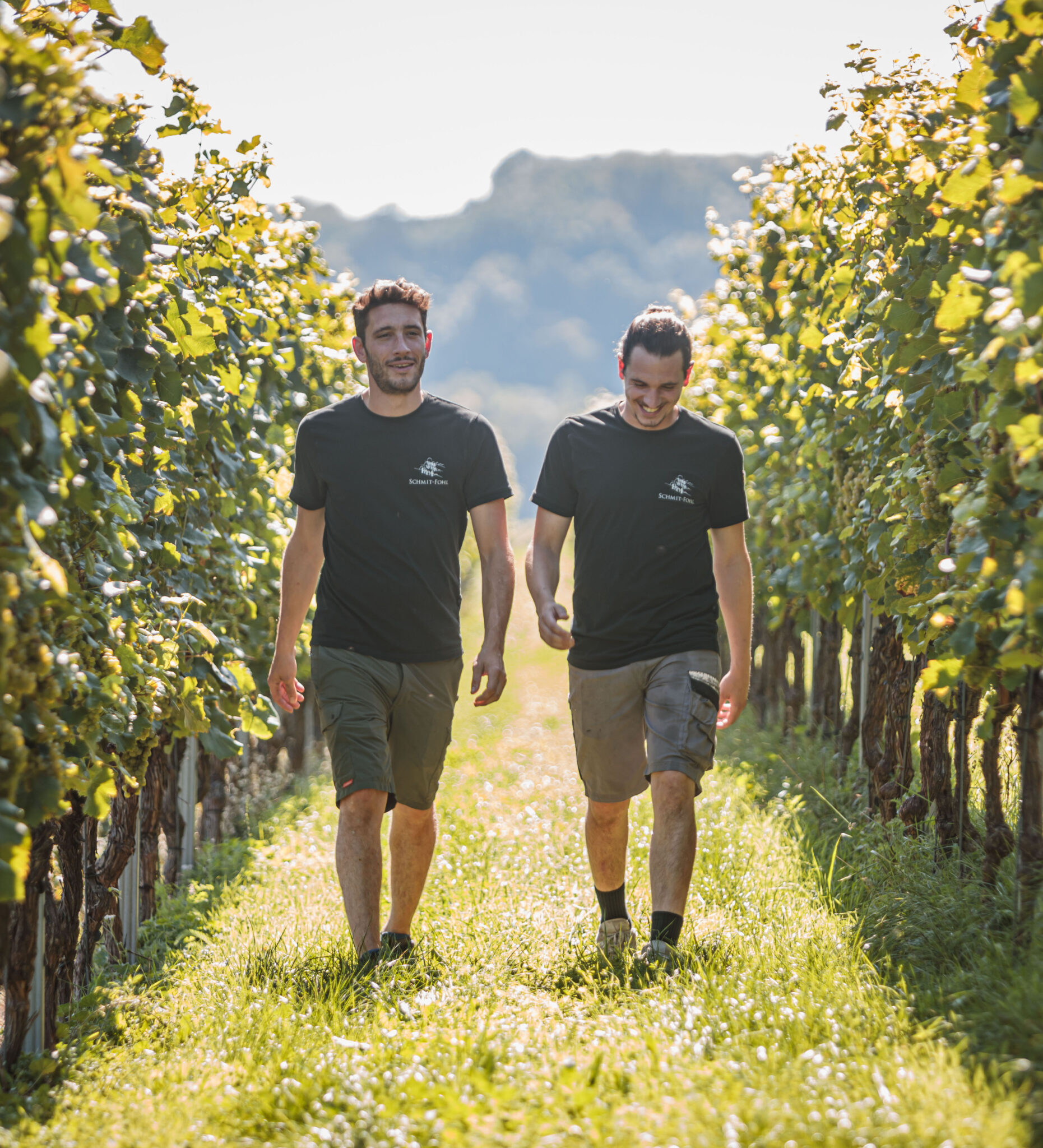 Maison Viticole Schmit-Fohl Luxembourg